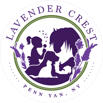 Lavender Crest